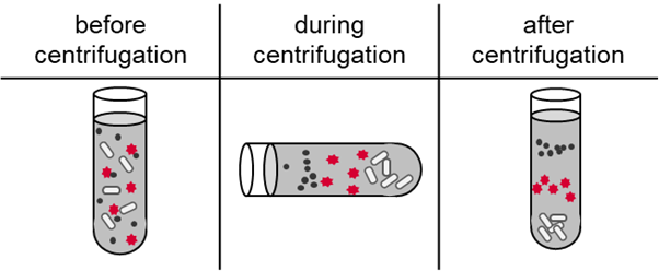 Fixed Angle or Swing Out rotor, that is the question! | OHAUS